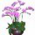 CH582 DataFlash - 沁恒微电子社区